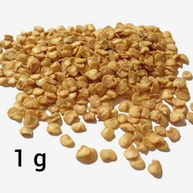 Ela batu seeds | Daraz.lk: Buy Online at Best Prices in Srilanka | Daraz.lk