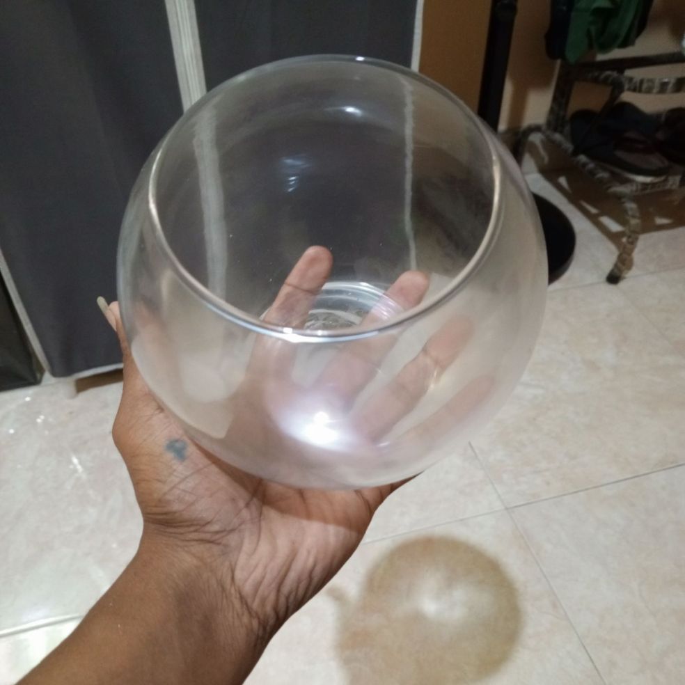 Fish Bowl Aquarium 7inch | Daraz.lk