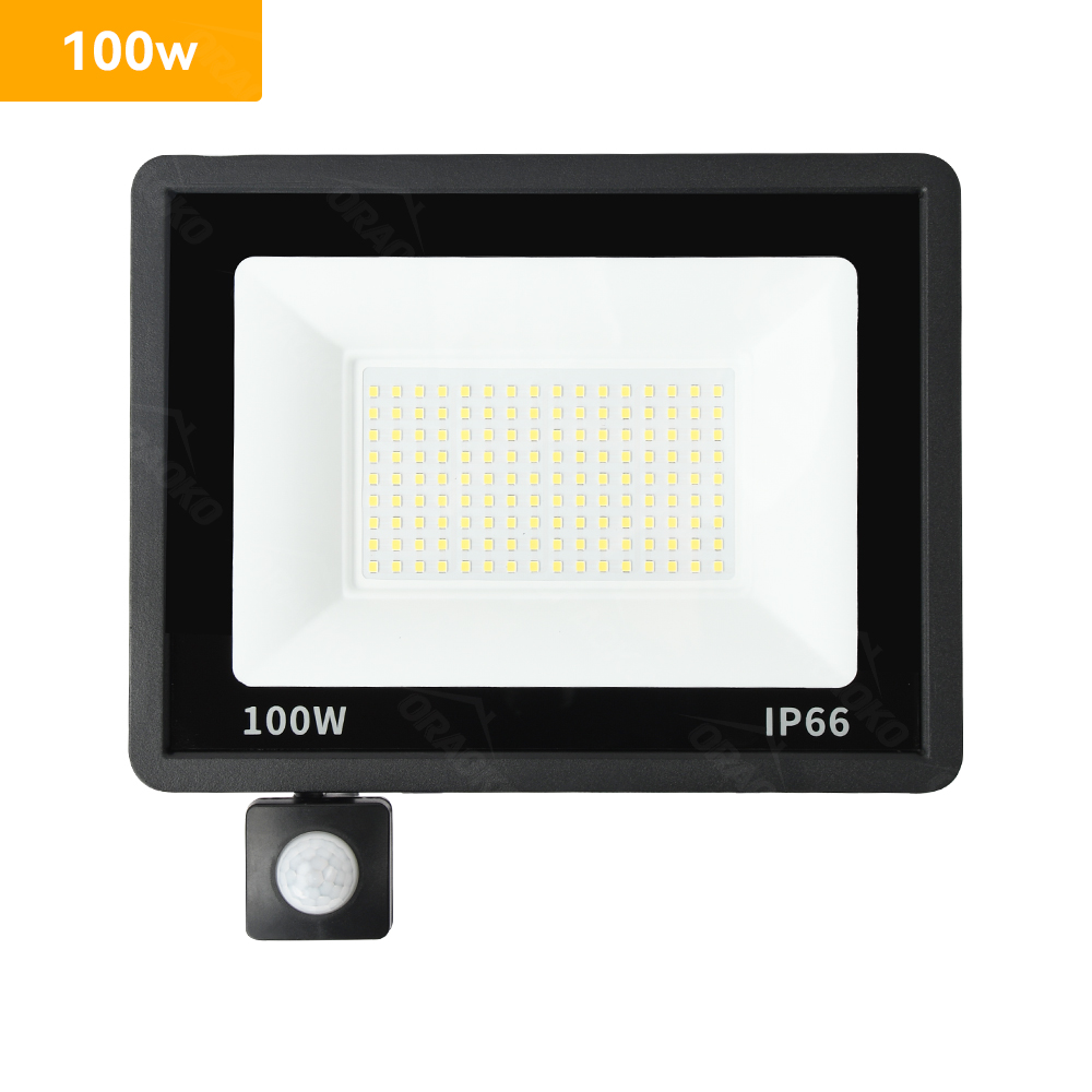 Motion Sensor LED Flood Light 100W 50W 30W 10W 220V Waterproof IP65 ...