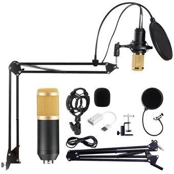 STUDIO RECORDING VOCAL MICROPHONE | Daraz.lk