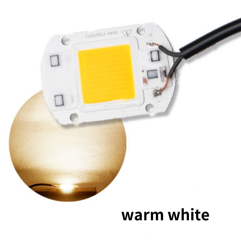 5pcs LED Chip COB lampr 20W 30W 50W AC 110V 220V No Need Driver DIY ...