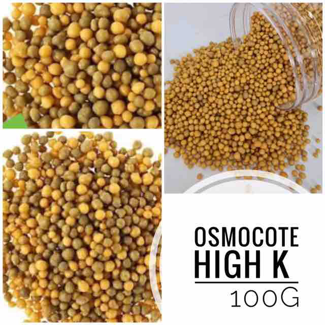 Osmocote high K 100g | Daraz.lk
