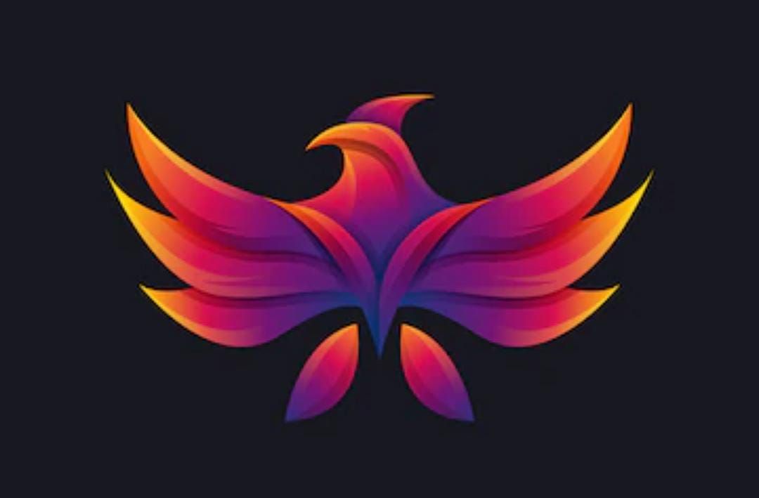 Shop online with COZY MOZY now! Visit COZY MOZY on Daraz.