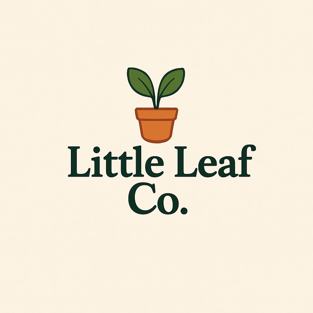 Shop online with Little Leaf Co. now! Visit Little Leaf Co. on Daraz.