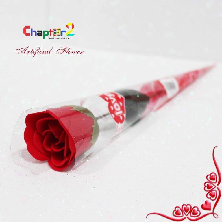 Red rose 🌹 single Flower with Pack for Gifts / Love Gifts / Anniversary ...