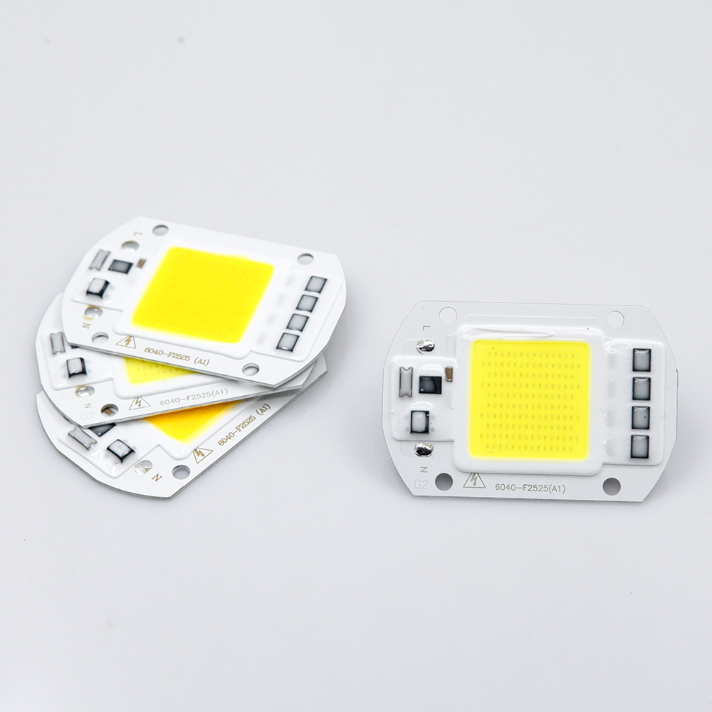 COB LED Lamp 10W 20W 30W 50W AC 220V IP65 Smart IC No Need Driver DIY Chip LED Bulb Flood Light ...