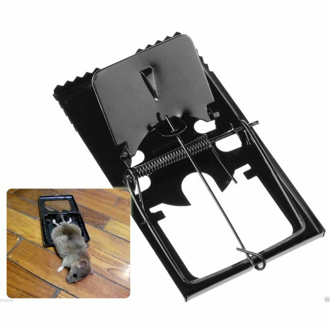 Heavy Duty Snap Mouse Traps | Daraz.lk