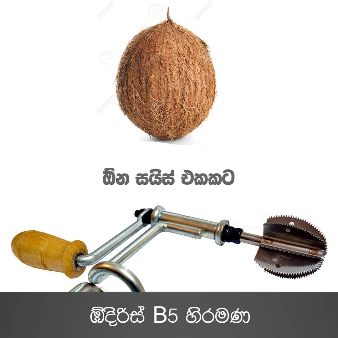 Odiris original coconut scraper table attached grater stainless steel ...