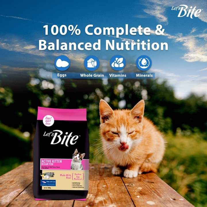 Let's Bite 400g Active Kitten Ocean Fish (1pcs) | Daraz.lk