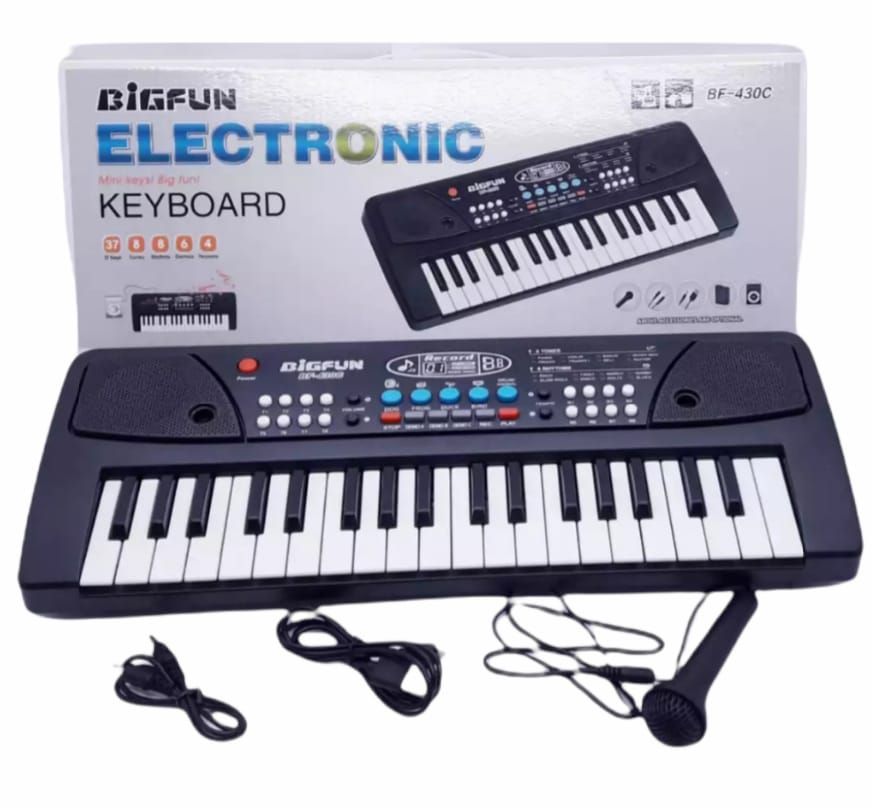 Electric Toy keyboard with Mike and aux | Daraz.lk