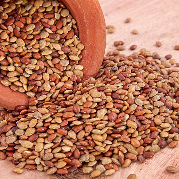 Kollu Seeds 500g | Daraz.lk: Buy Online at Best Prices in Srilanka ...