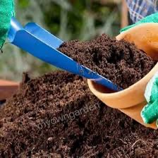1kg Compost Potting Mix Soil Packet for Gardening | Daraz.lk