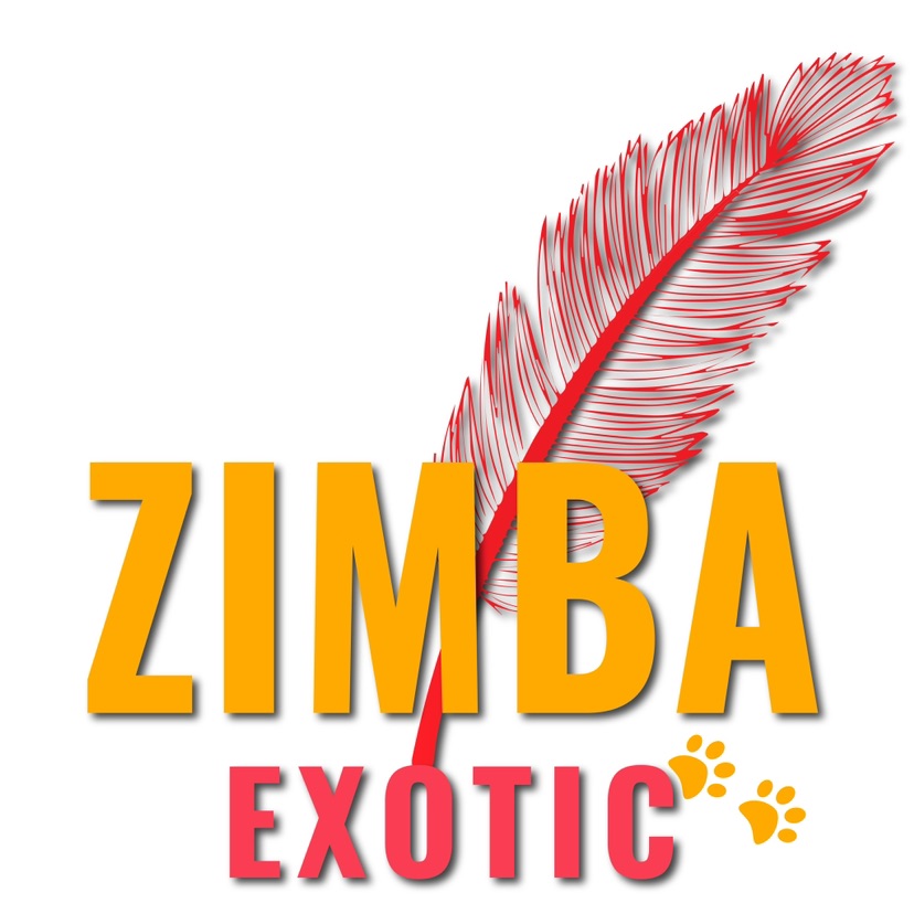 Shop online with Zimba Exotic now! Visit Zimba Exotic on Daraz.