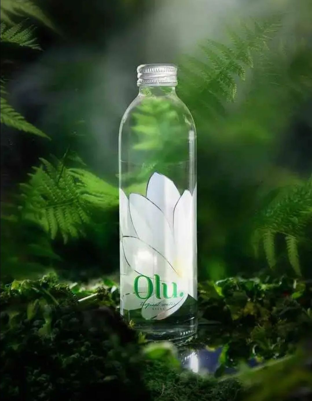 Olu Glass Water Bottle - Durable and Stylish, 570ml Capacity | Daraz.lk