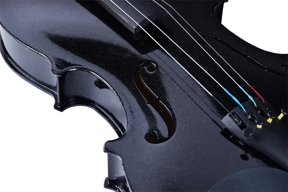 Tayste R20 violin | Daraz.lk: Buy Online at Best Prices in Srilanka ...