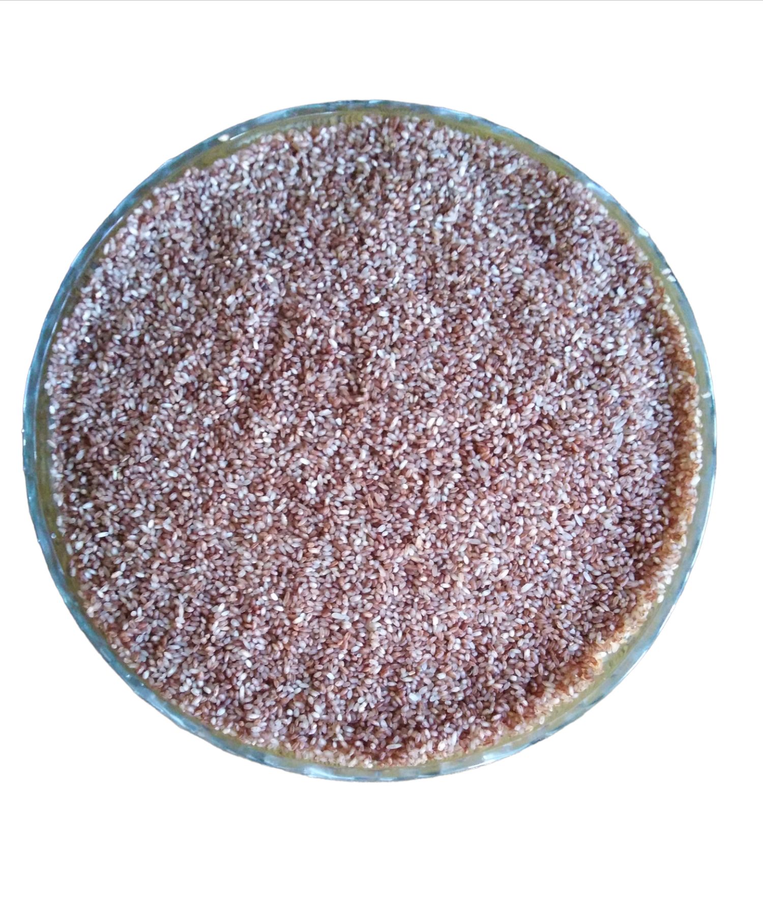 Organic Red Kakulu Rice 2kg cultivating compost and chicken manure ...