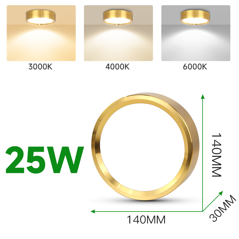 Led Downlight Spot House Renovation Led Ceiling 220v Surface Mounted ...