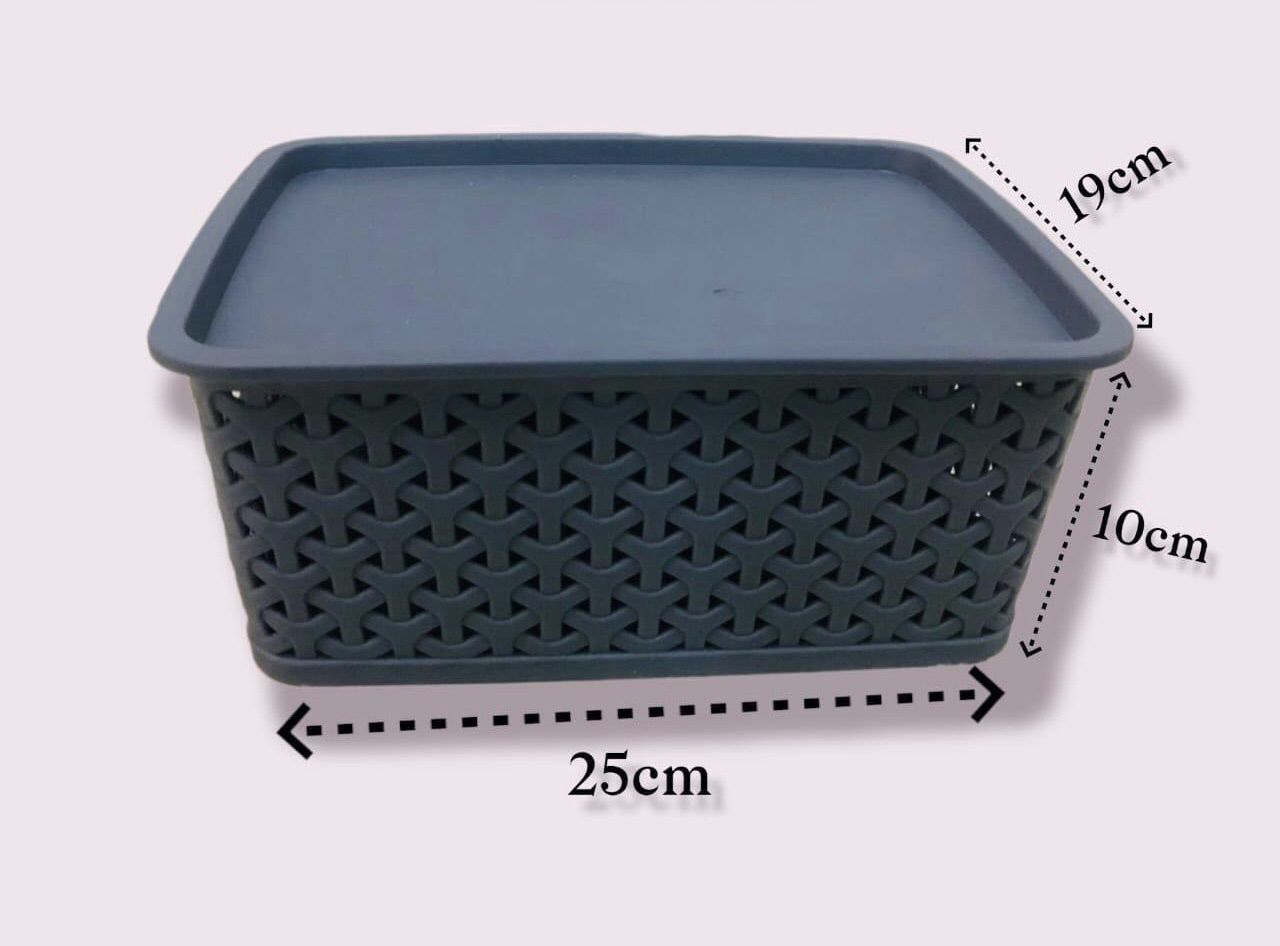 Phoenix small storage box / multi purpose storage box | Daraz.lk
